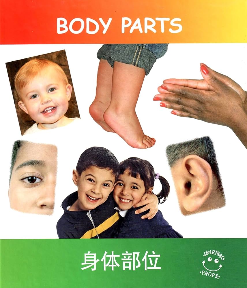 Learning Props Series: Body Parts 身体部位 – Chinese Books For Children